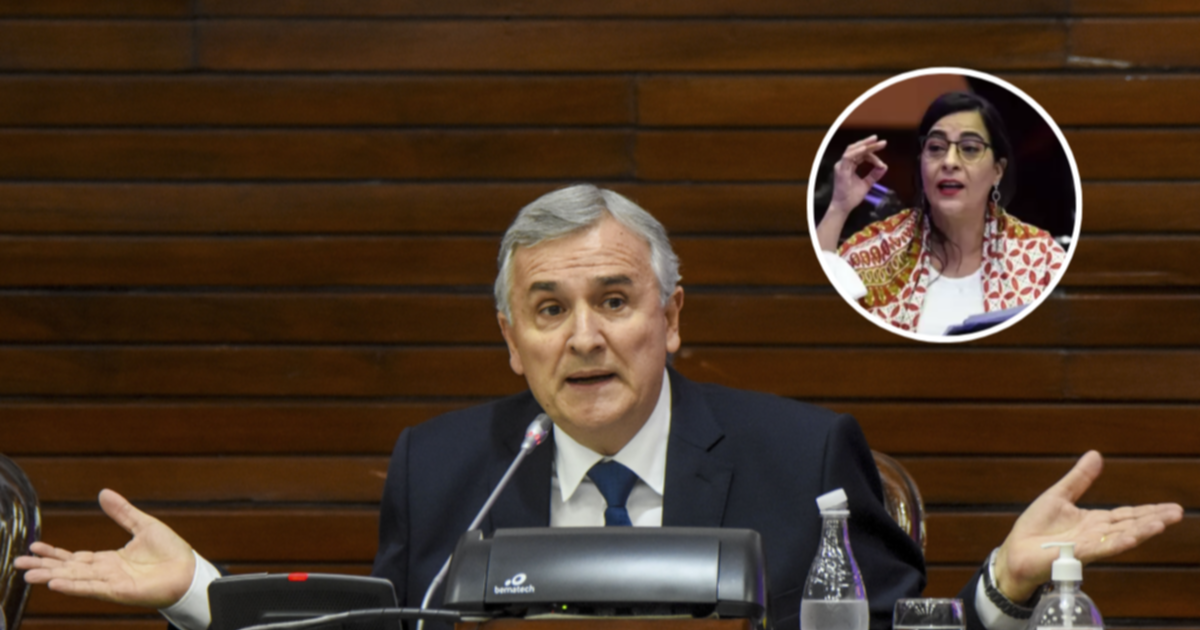 Carolina Moises: "El modelo de Morales en Jujuy es un modelo planero"