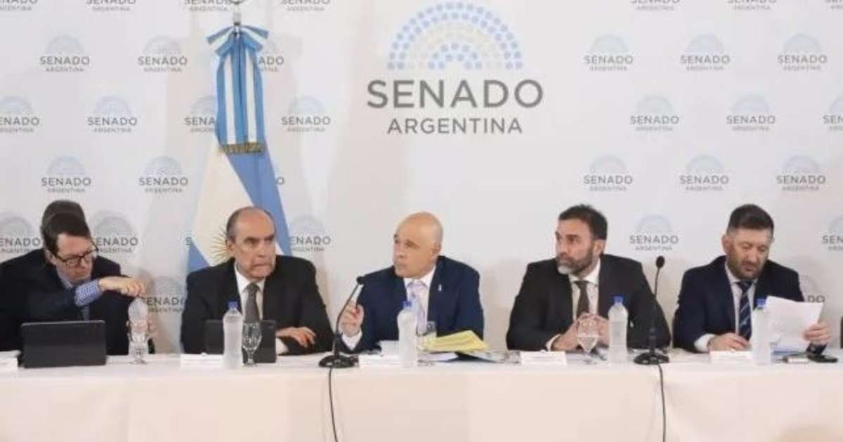 Ley Bases: Se dilata en el Senado el dictamen luego de la exposión de ...