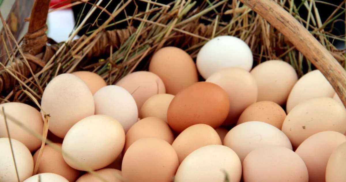 La canasta alimentaria subió 2,2% en La Plata durante abril