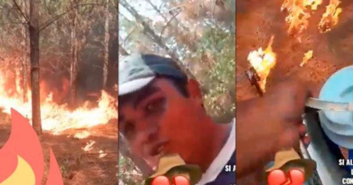 Habló el joven que se grabó prendiendo fuego un bosque en Corrientes ...
