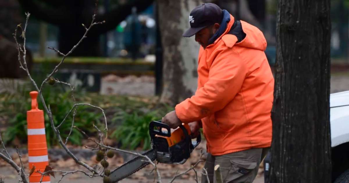 Continúan las tareas de poda y habrá cortes parciales en diagonal 78