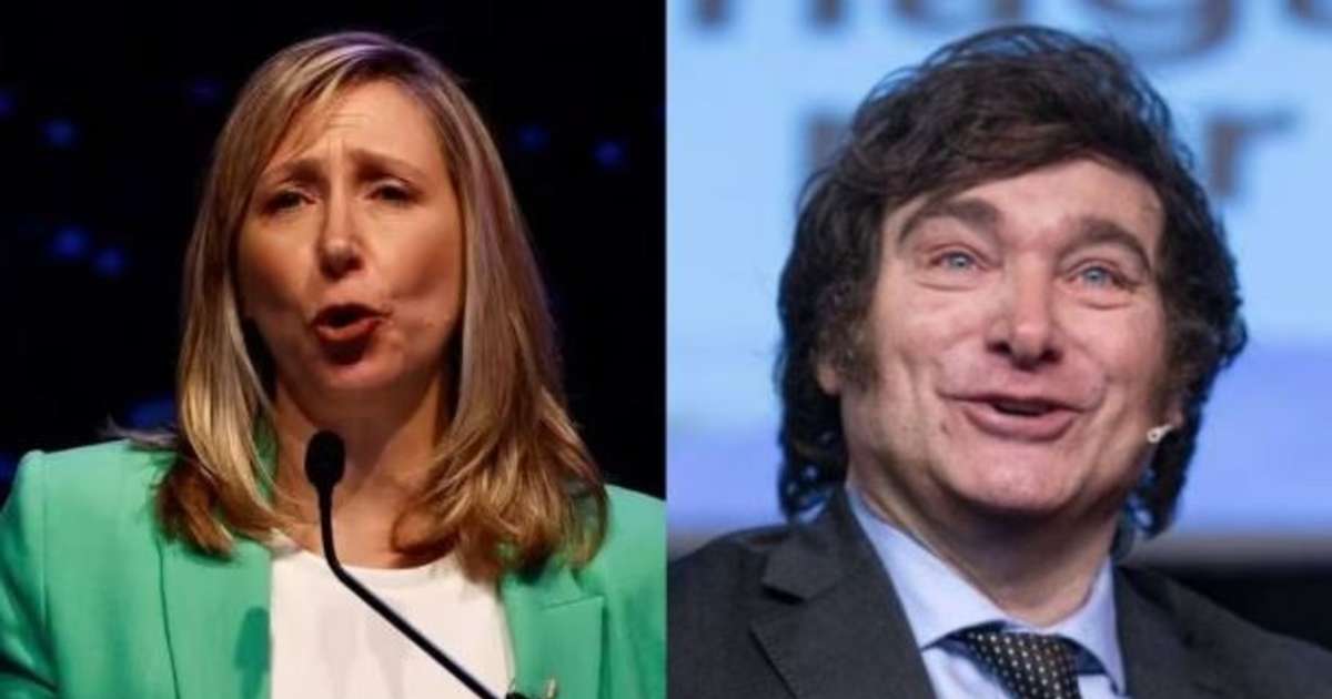 Myriam Bregman dura con Javier Milei: "Es un gatito mimoso del poder ...